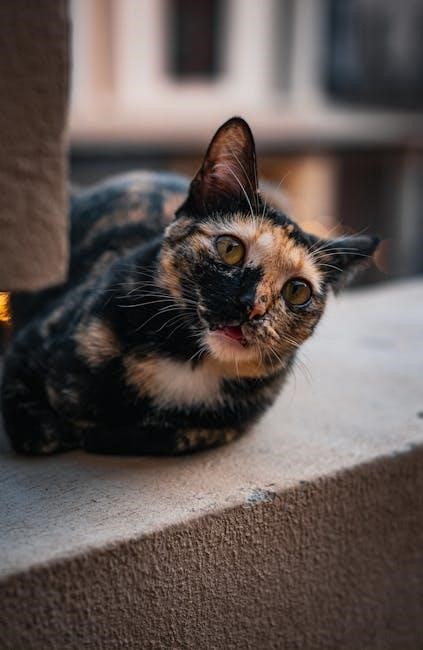 Foxfire Books: Free PDF Downloads & Instant Access